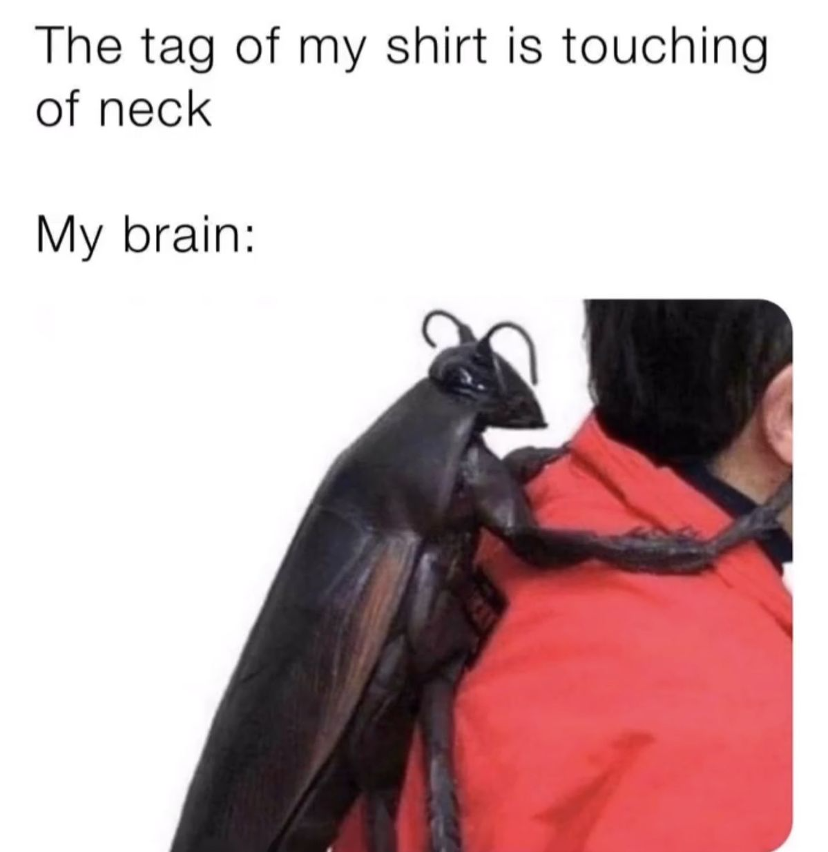 25 Memes About People Not Thinking Straight - Kate Knows