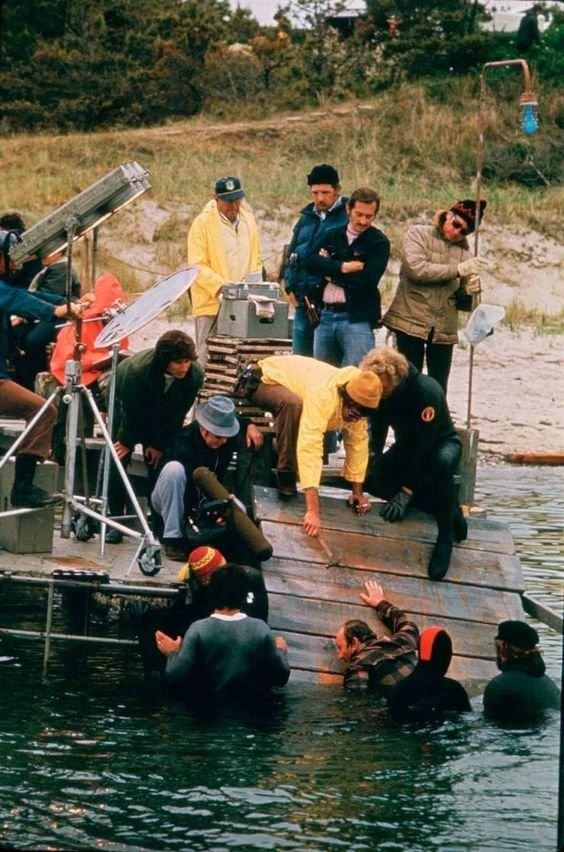 25 Behind the Scenes Secrets That Made Jaws a Hollywood Legend - Kate Knows