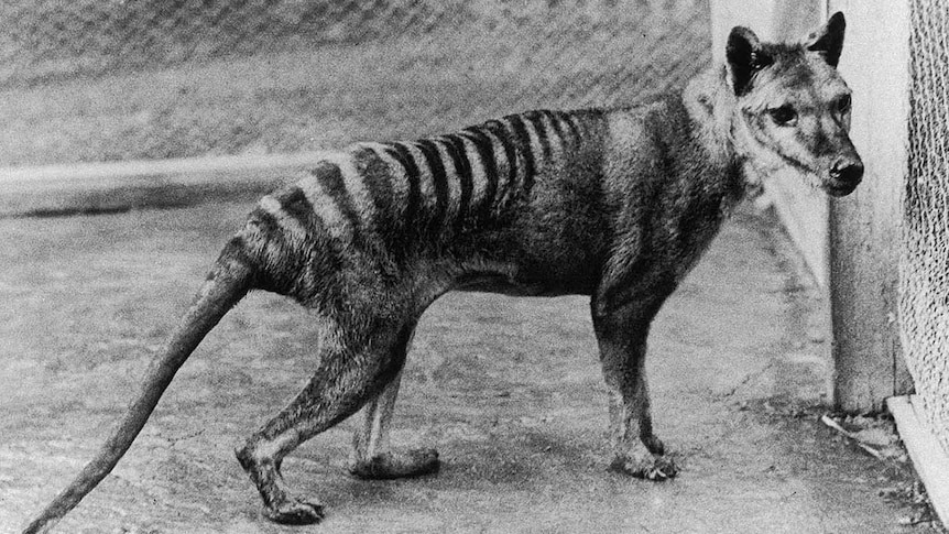 25 Old Photos That Show The Past In A Whole New Light – Garlic Soda