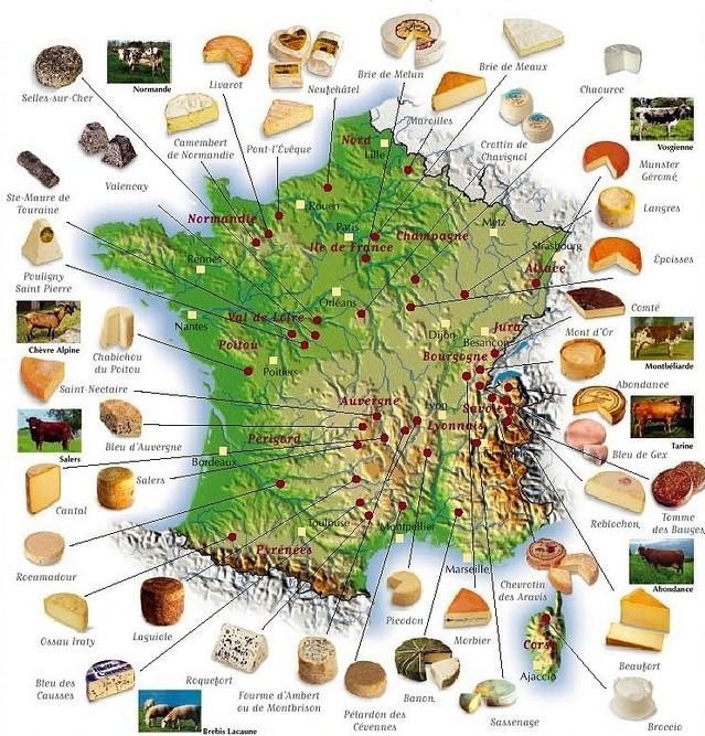 28 Fun Facts About France - Kate Knows