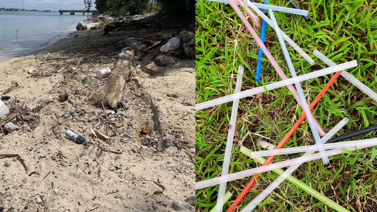 30 Reasons to Ditch Plastic Before It’s Too Late - Kate Knows