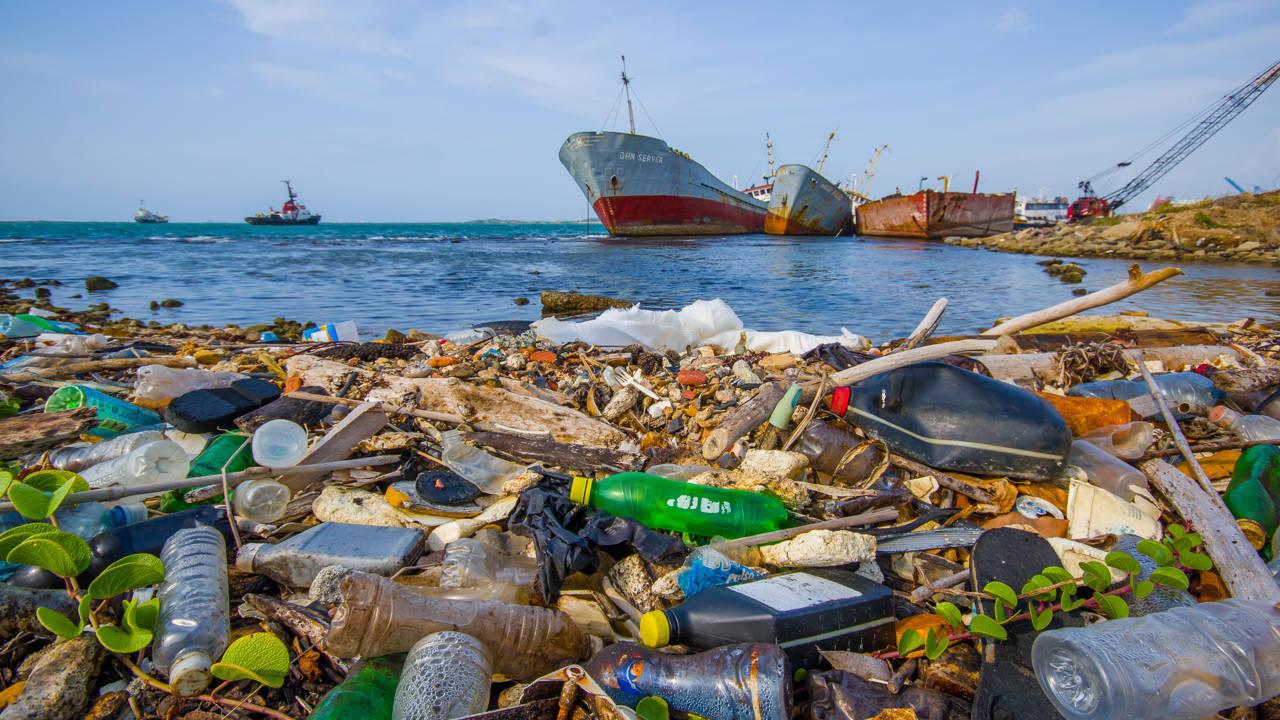 30 Reasons to Ditch Plastic Before It’s Too Late - Kate Knows