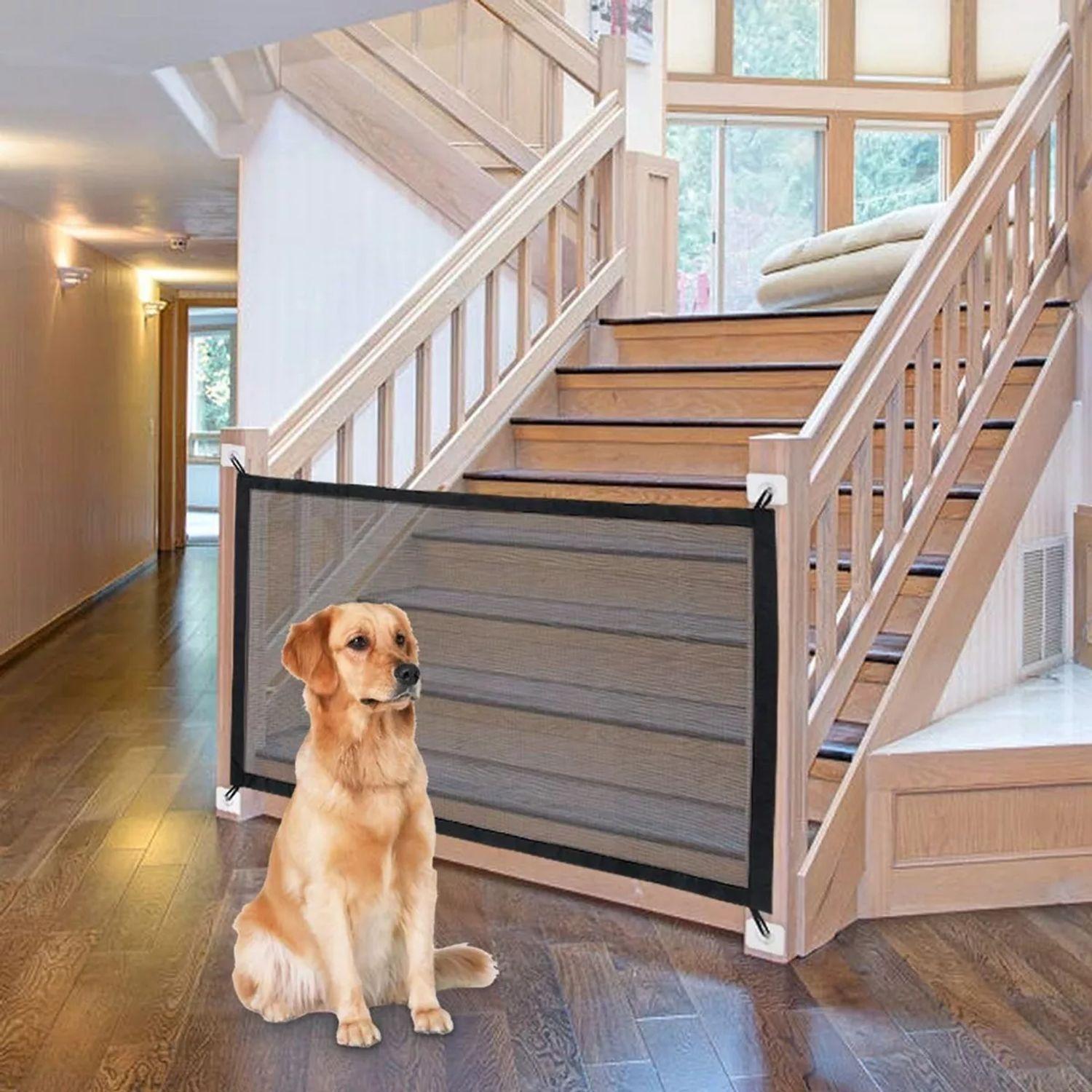 30 Things Nobody Tells You Before Getting a Dog (But You Need to Know ...