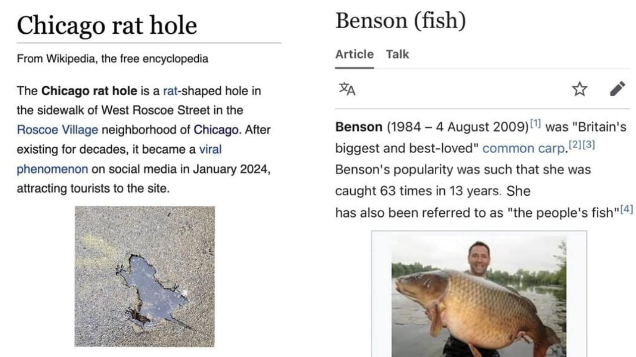 30 Wikipedia Pages That Don't Make Sense At All - Kate Knows