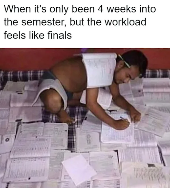 25 College Memes That Deserve Extra Credit – Garlic Soda