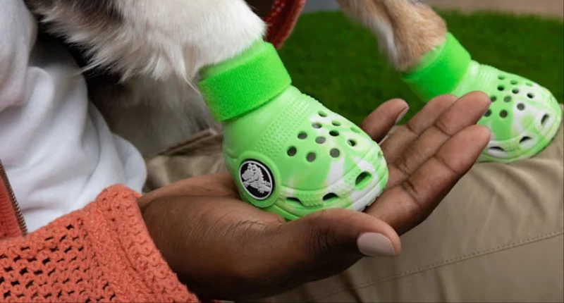 25 Wackiest Crocs Designs That Need To Go - Kate Knows