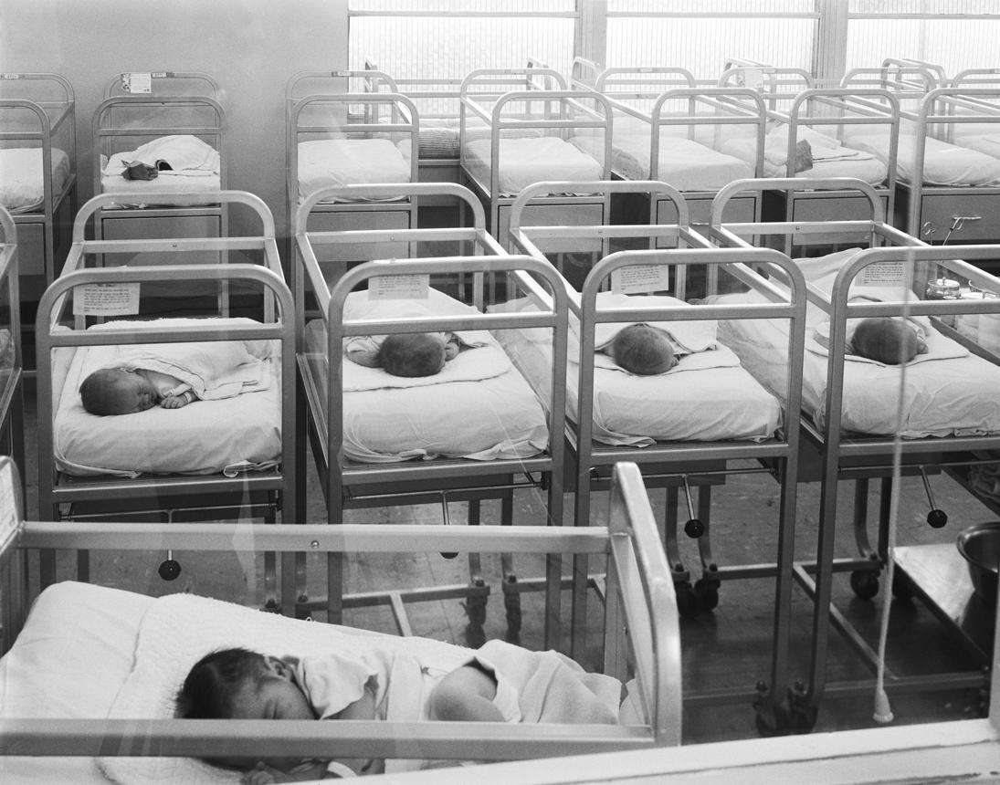 25 Craziest Things People Discovered Through DNA Tests - Kate Knows