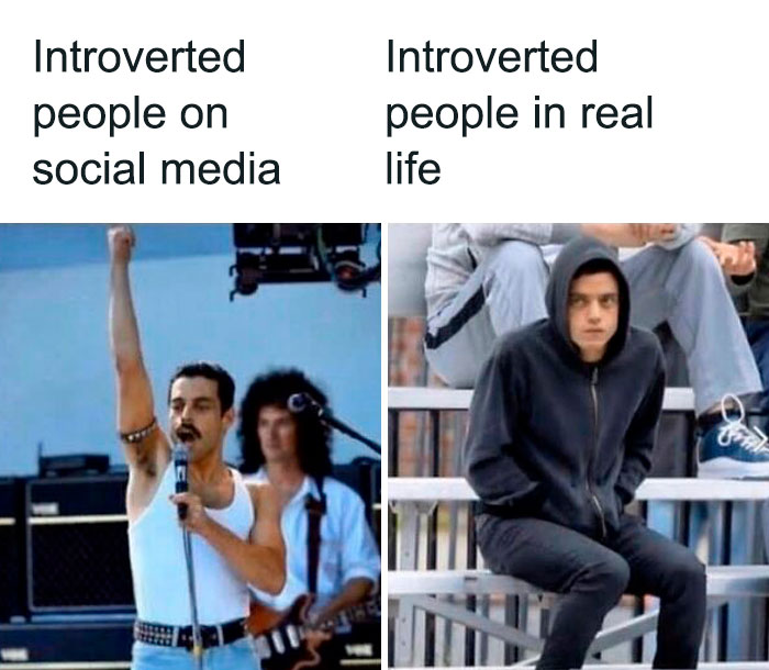 30 relatable introvert memes for socially awkward souls – Garlic Soda