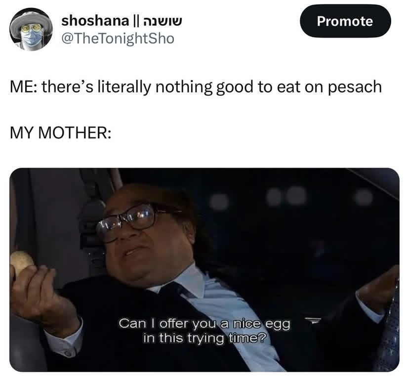 30 Passover Memes That Perfectly Sum Up The Holiday – Garlic Soda