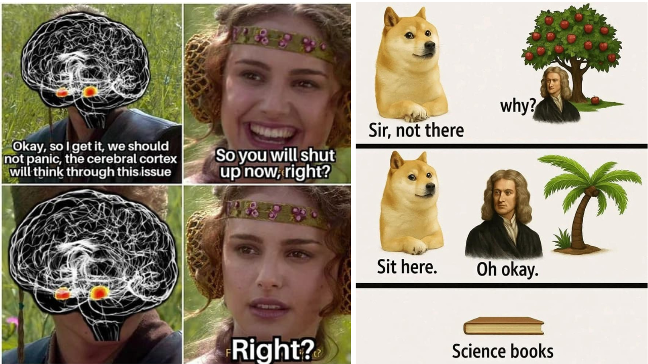 30 Memes That Only Smart People Will Fully Appreciate - Kate Knows