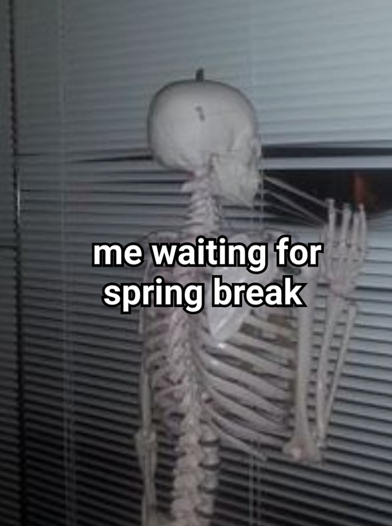 30 Spring Break Memes for People Who Need A Vacation – Garlic Soda