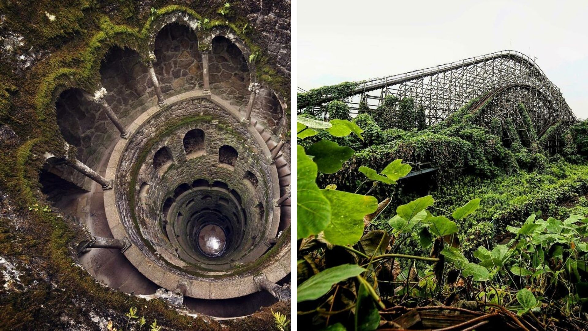 30 Stunning Places Where Nature Took Over – Garlic Soda