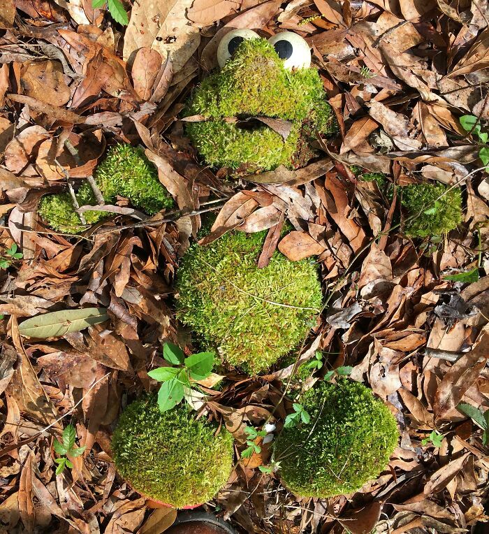 30 Stunning Places Where Nature Took Over – Garlic Soda